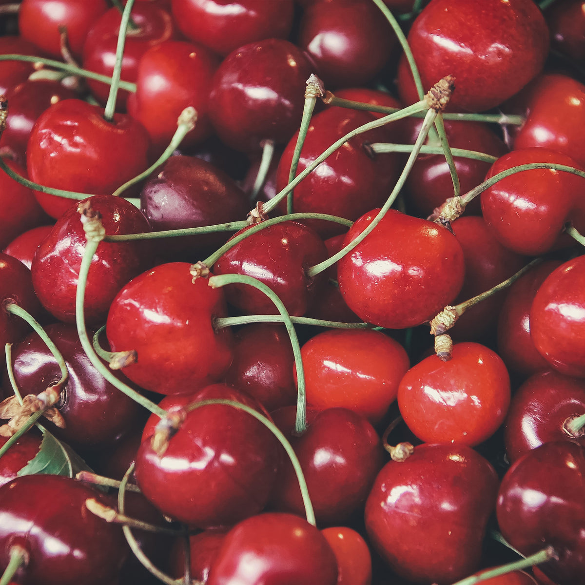 Cherry Candle Making Fragrance Oil – Na2ral Limited (4Candles UK)