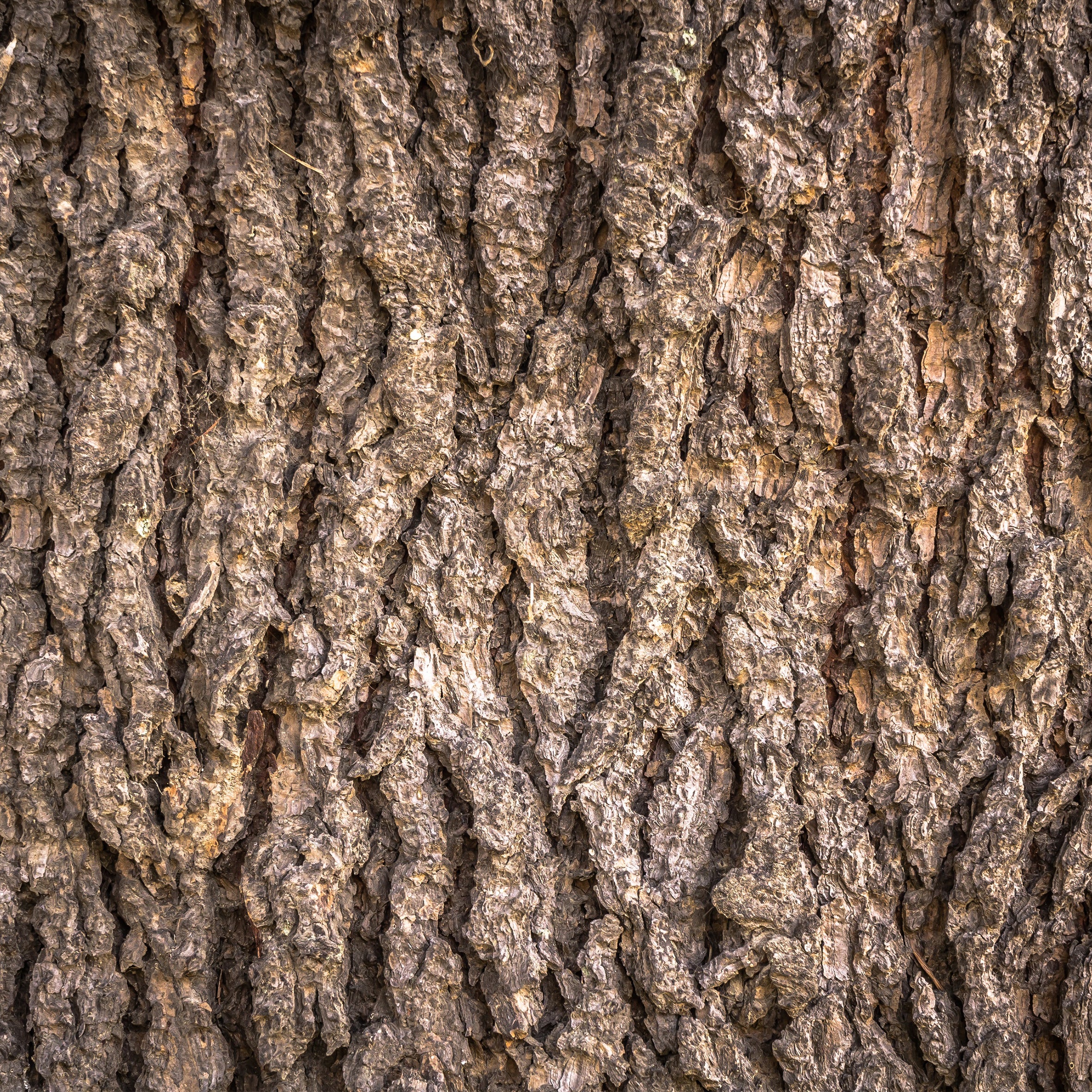 Feng Shui Wood Candle Making Fragrance Oil – Na2ral Limited (4Candles UK)